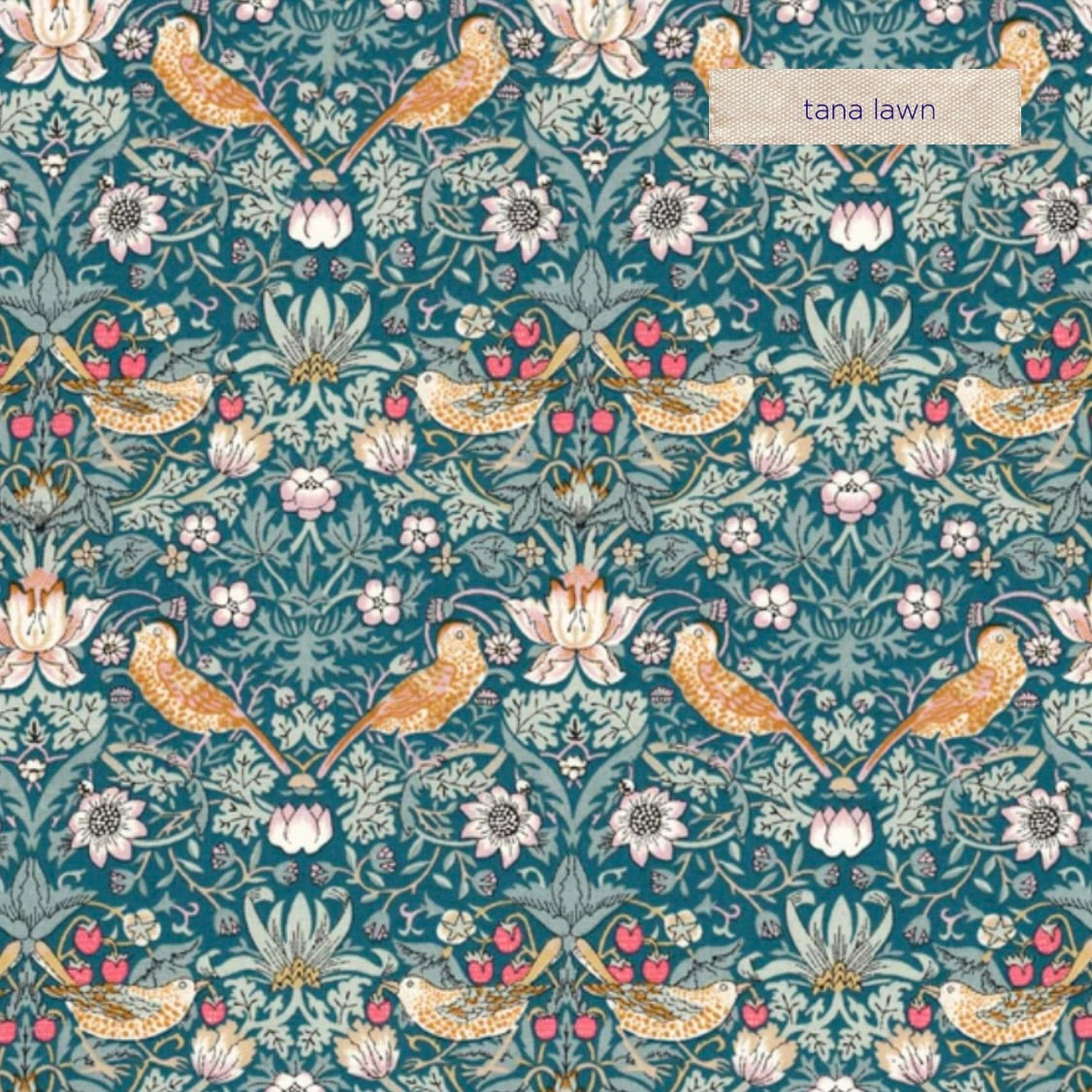 fabric - country clothesline